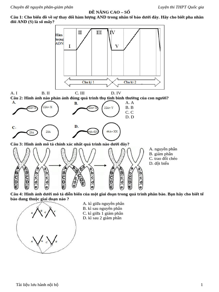 Bai 18 Chu Ki Te Bao Va Qua Trinh Nguyen Phan | PDF