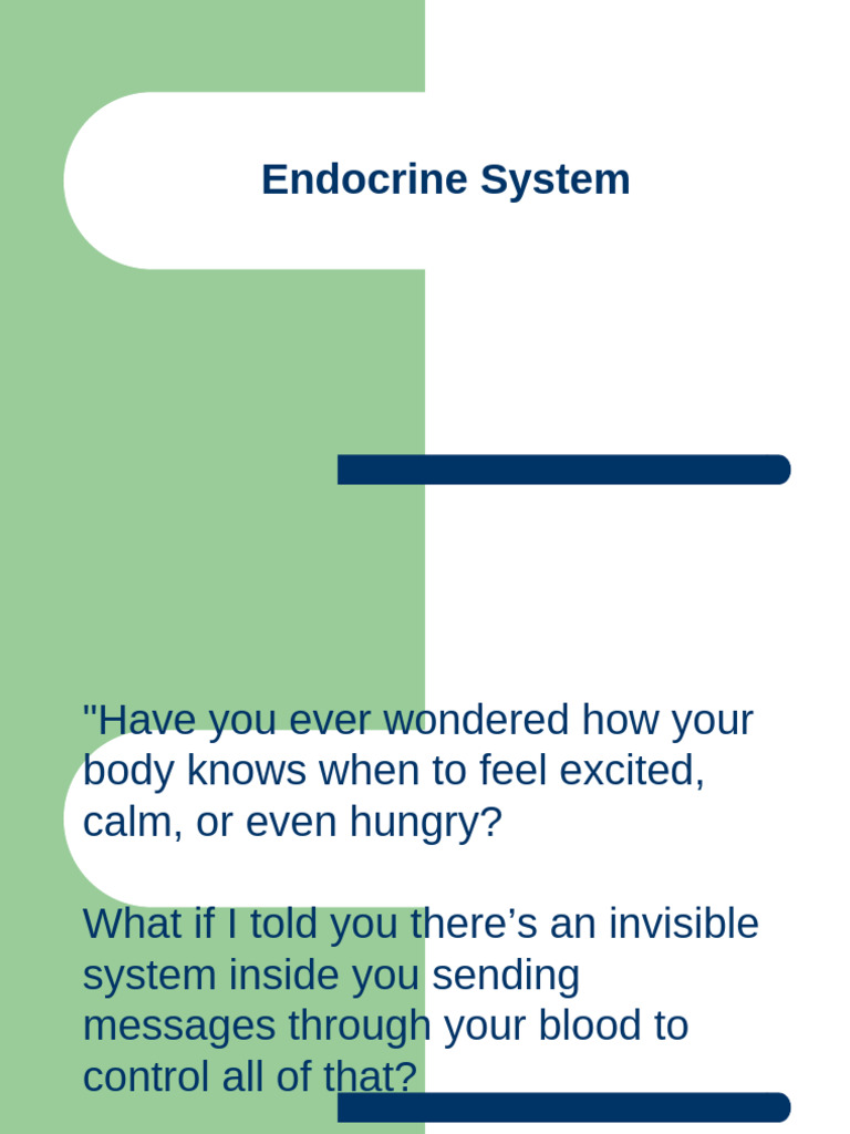Endocrine System Yvonne | PDF | Endocrine System | Diabetes