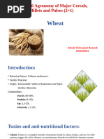 Flower Biology of Wheat 1 | PDF