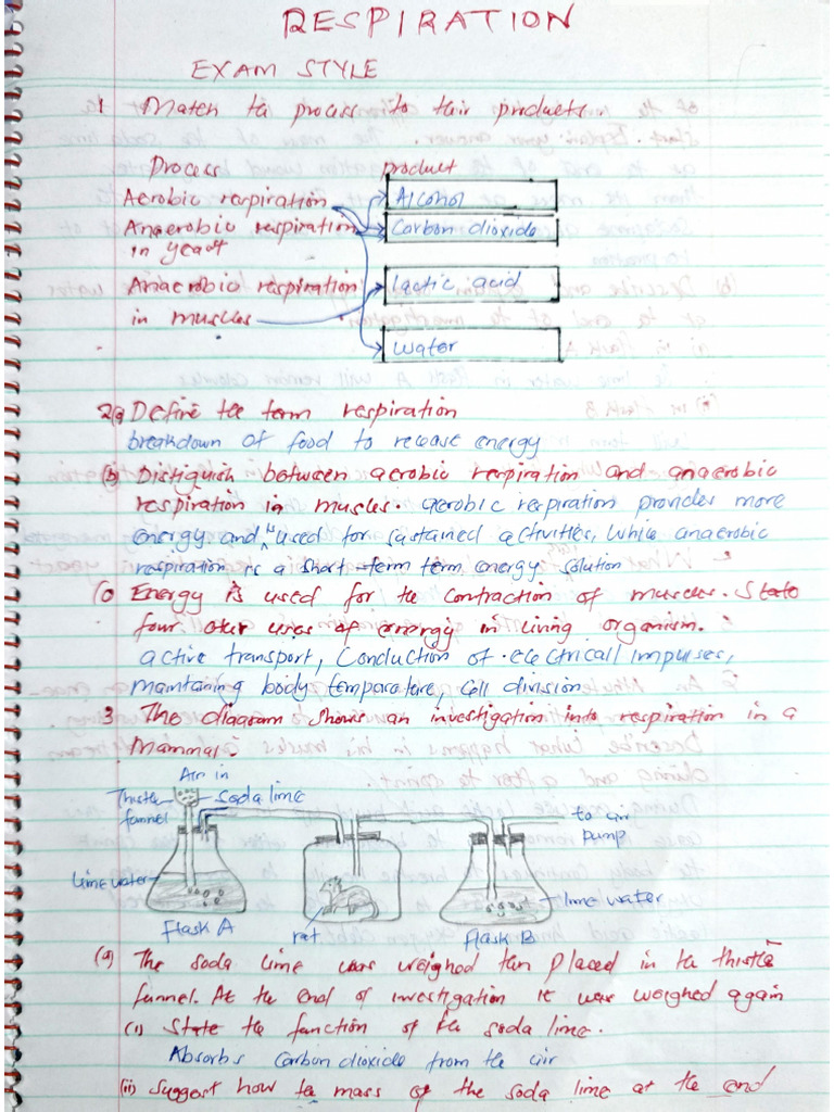 respiration | PDF