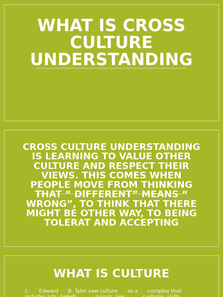 Understanding Cross-Cultural Values | PDF