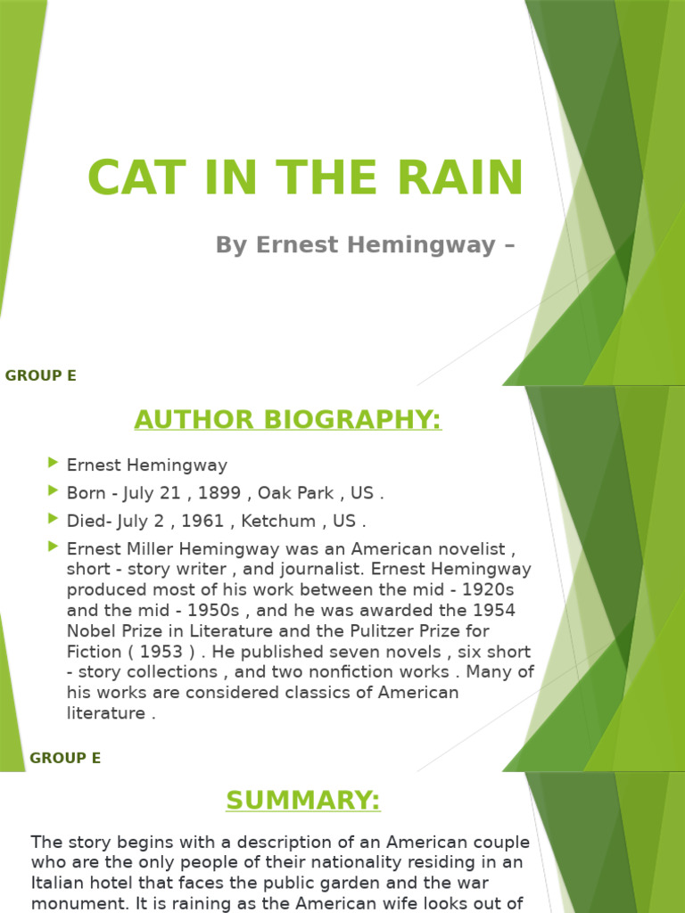 Analysis of Hemingway's "Cat in the Rain" | PDF | Ernest Hemingway