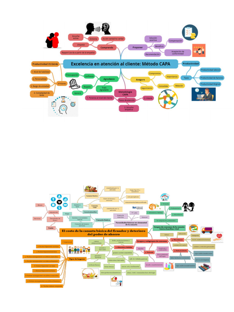 Mapas Mentales | PDF