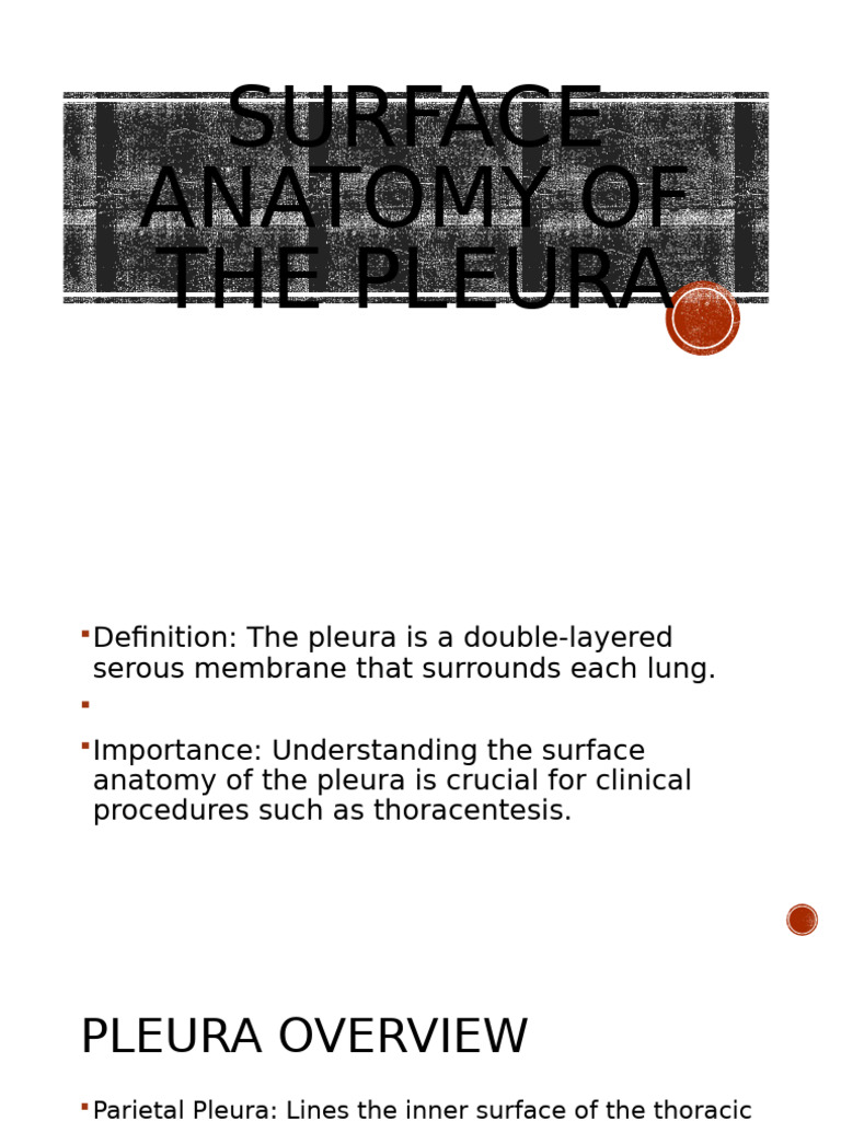 Surface Anatomy of the Pleura | PDF