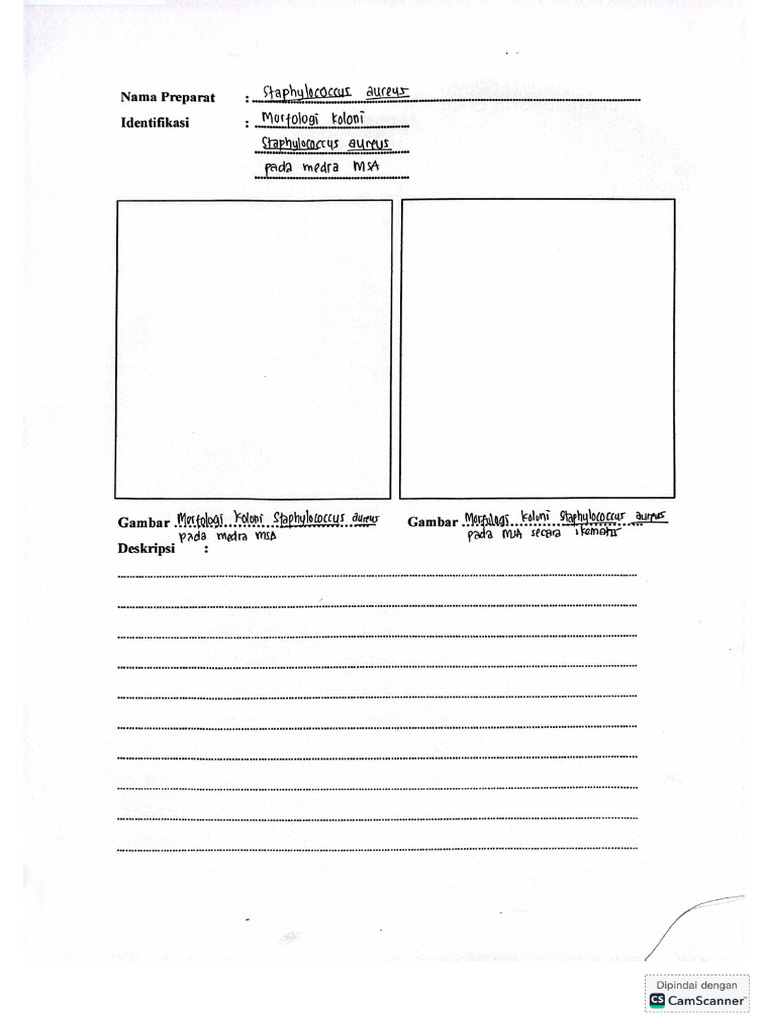 Format Laprak r5rtdtc Blok 4.1 | PDF