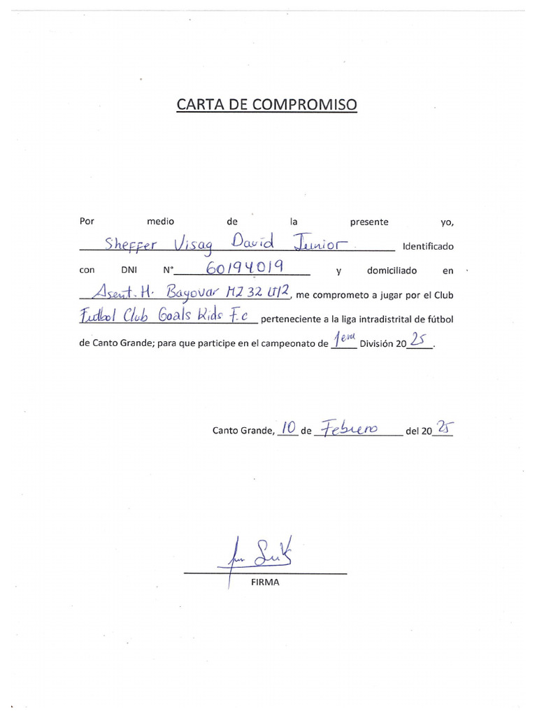 Carta Compromiso | PDF