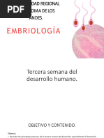 Origen Embrionario de Los Tejidos | PDF | Embrión | Biología del desarrollo