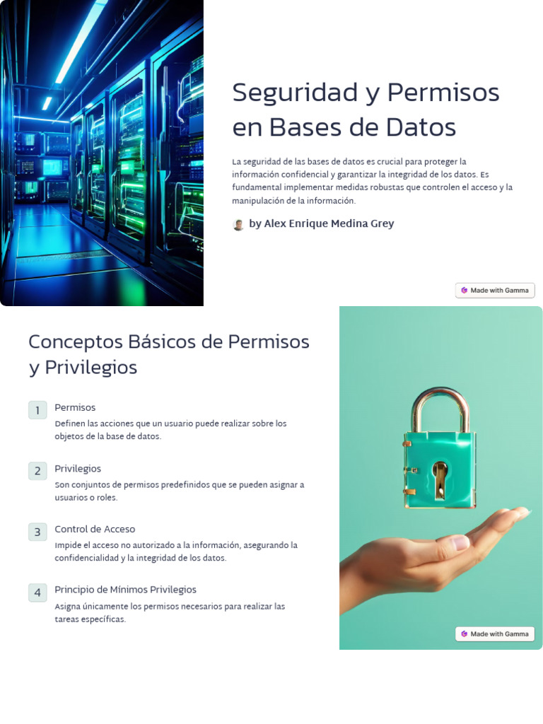 Seguridad y Permisos en Bases de Datos | PDF | La seguridad informática ...