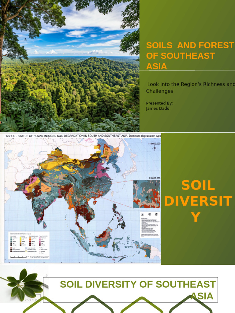 Southeast Asia's Soil & Forests | PDF