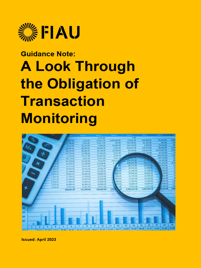 Transaction Monitoring Obligations Guide | PDF | Banks | Money