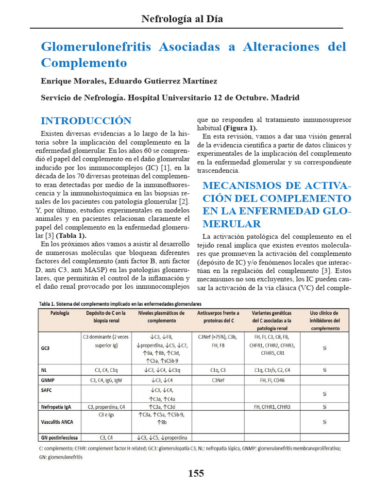 Glomerulonefritis y Complemento: Mecanismos y Tratamientos | PDF | Sistema complementario ...