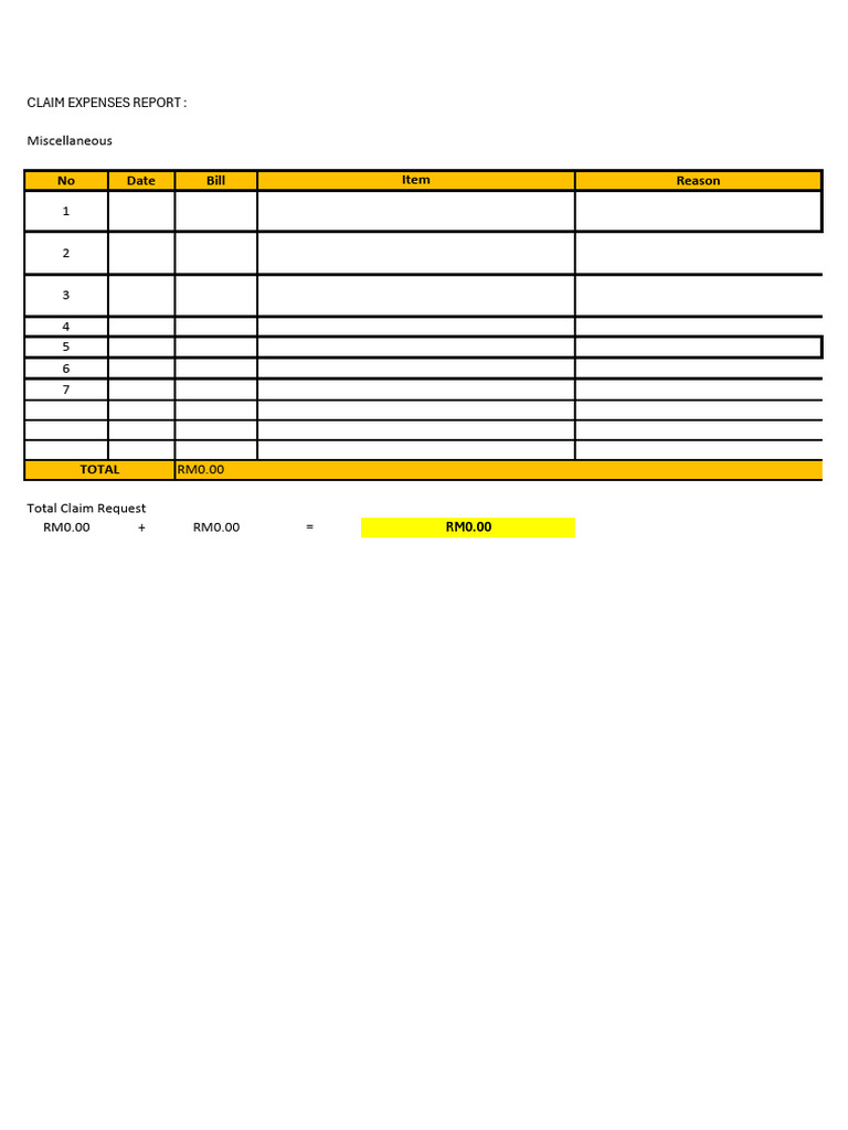 Claim Expenses Report Summary | PDF