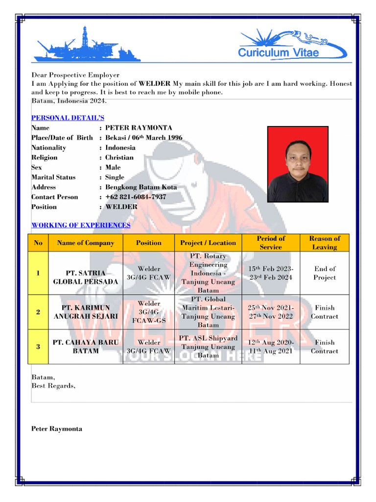 CV Peter Raymonta 2024 | PDF