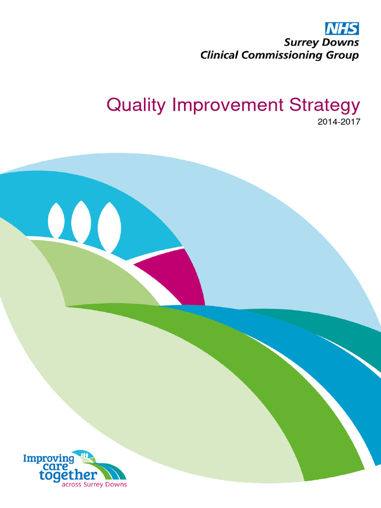 The Quality Improvement Strategy | PDF | Primary Care | Health Care