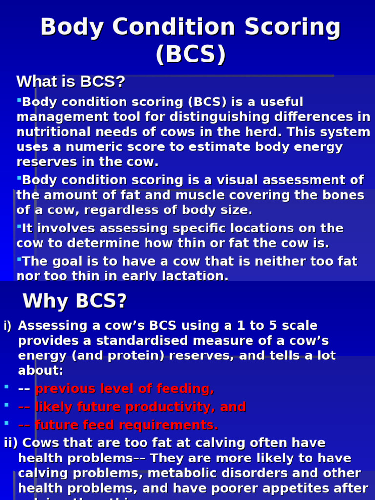 Understanding Body Condition Scoring for Cows | PDF | Vertebral Column ...