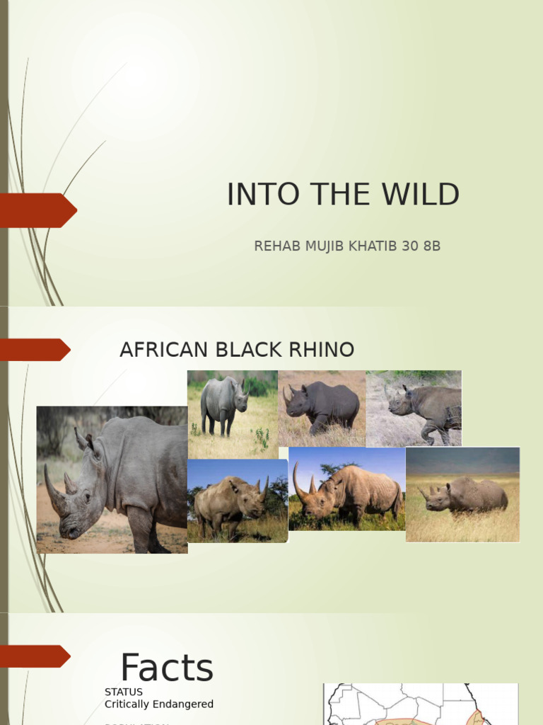 INTO THE WILD | PDF | Rhinoceros | Poaching