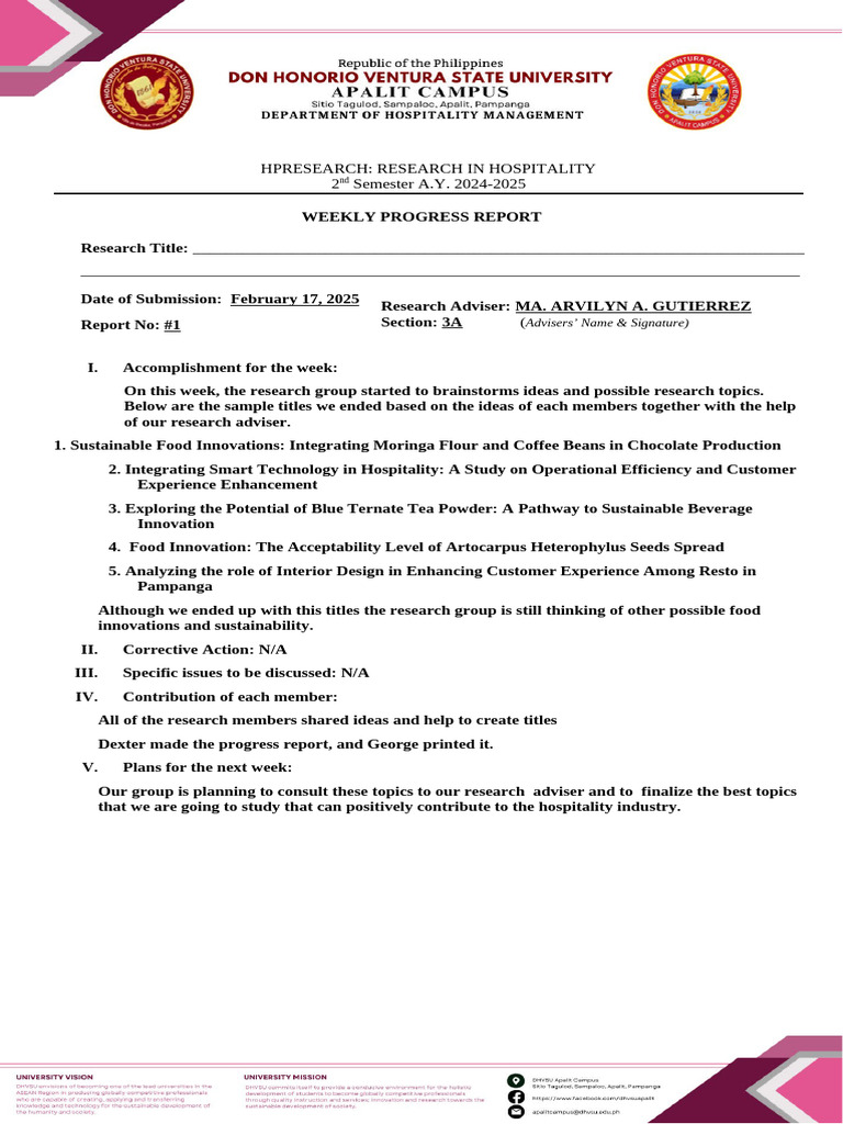 Weekly Progress Report TEMPLATE | PDF