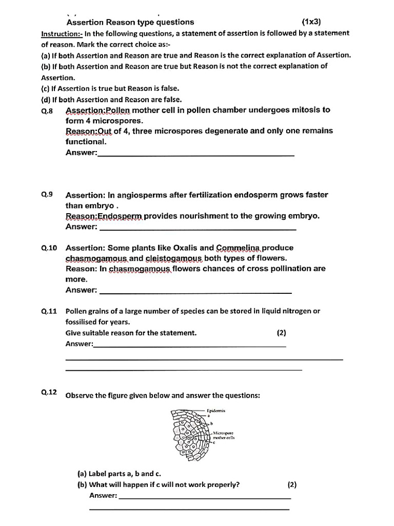 Chap 1 AR Worksheet | PDF