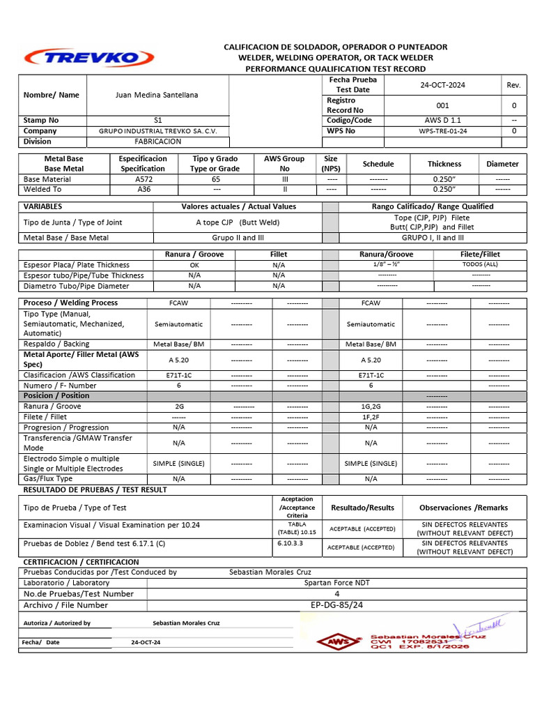 WPQ S1 | PDF | Física Aplicada e Interdisciplinaria | Ingeniería