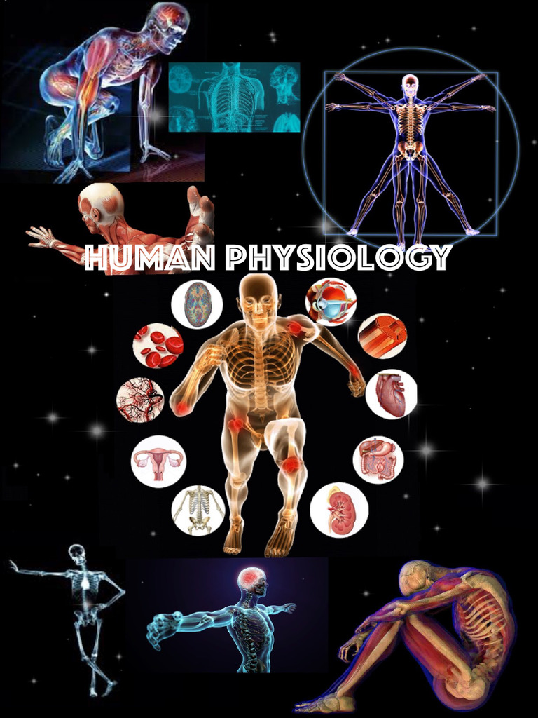 6 Human Physiology | PDF | Heart Valve | Chemical Synapse