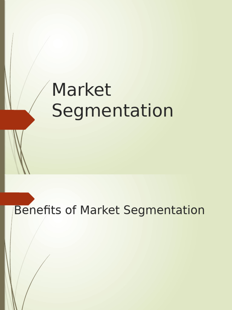 Market Segmentation | PDF | Market Segmentation | Marketing
