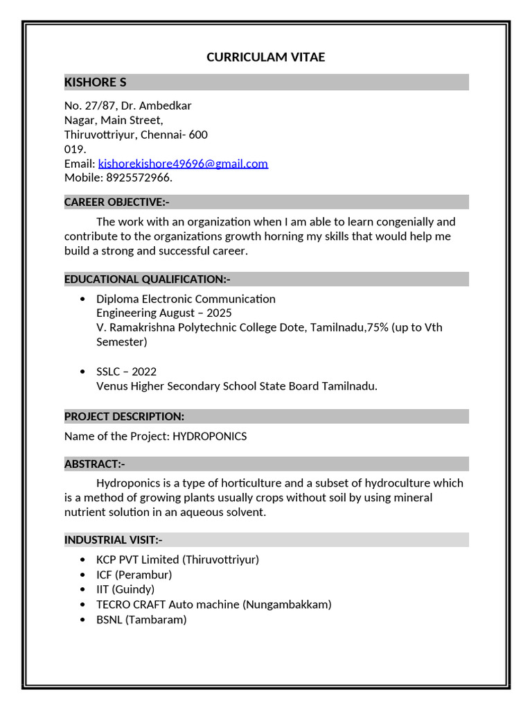 Curriculam Vitae | PDF