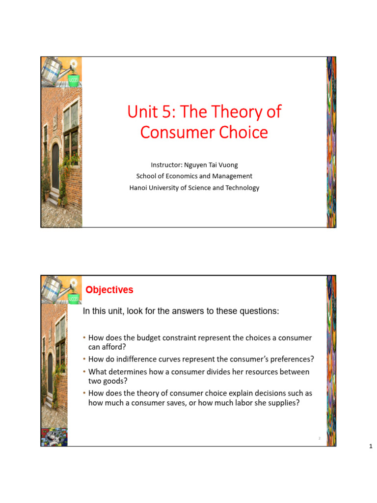 Unit 5 The Theory of Consumer Choice | PDF | Labour Economics | Utility