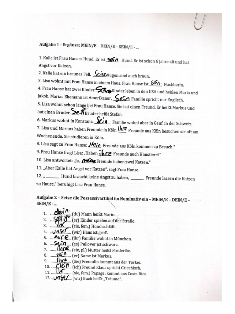 Aufgabe 1 • Erganze MEINE - DEINE - SEINE- | PDF