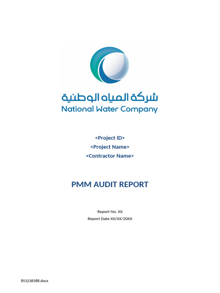 PMF-006-GOV-029_02 PMM Audit Report | PDF | Audit | Project Management