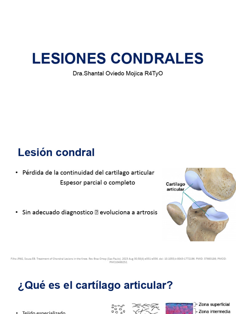 Clasificación y tratamiento de lesiones condrales | PDF | Sistema ...