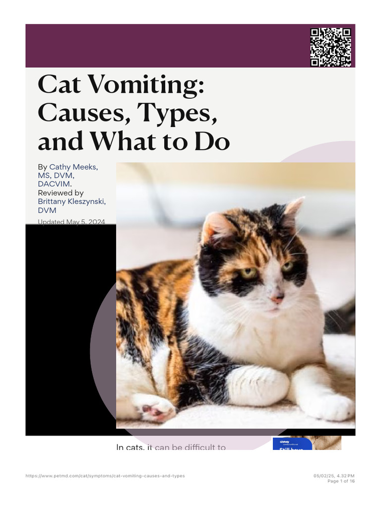 Cat Vomiting - Causes, Types, and What To Do - PetMD | PDF | Vomiting ...