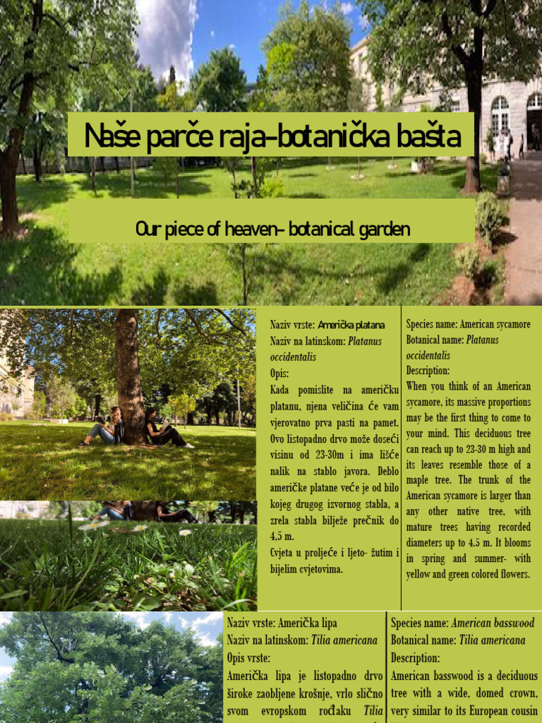 Biljne Kulture Naeg Dvorista | PDF