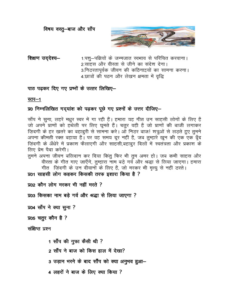 Baaz Aur Saanp Cl-8 Hindi | PDF