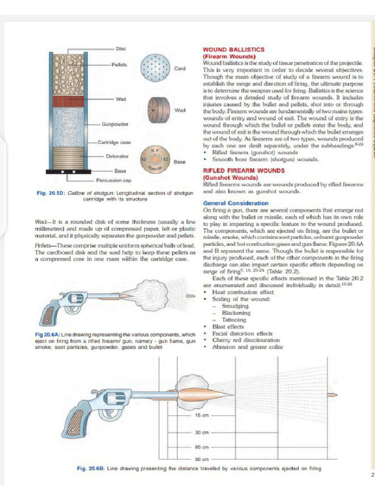 jaypee firearm | PDF