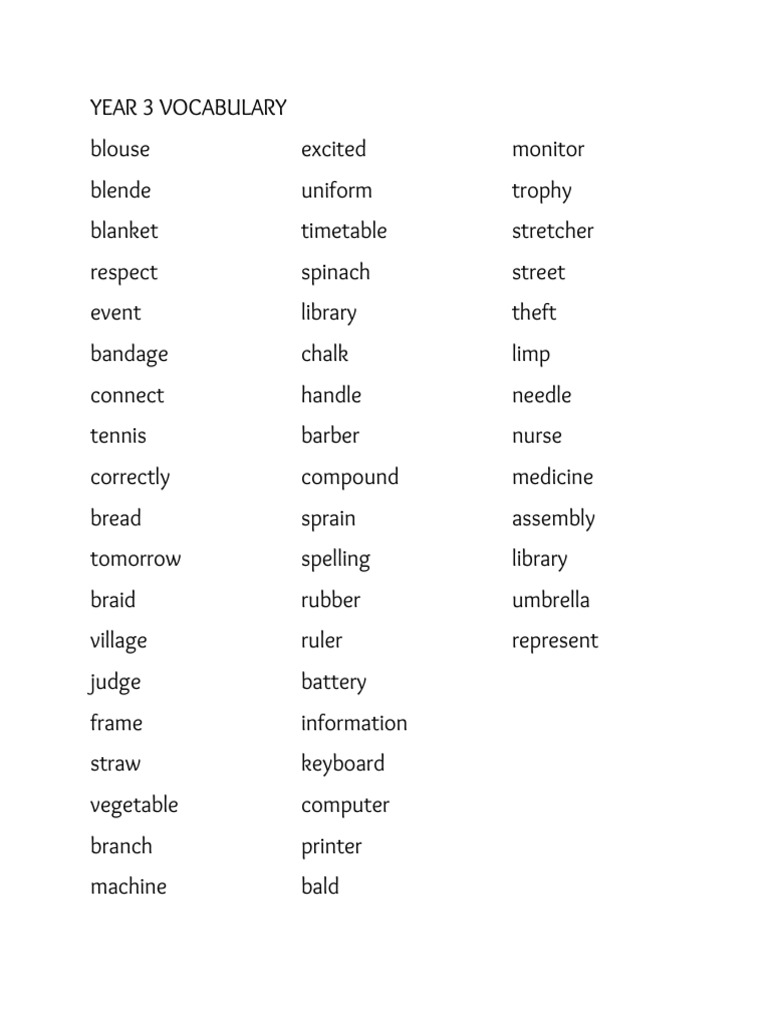 Year 3 Vocabulary | PDF