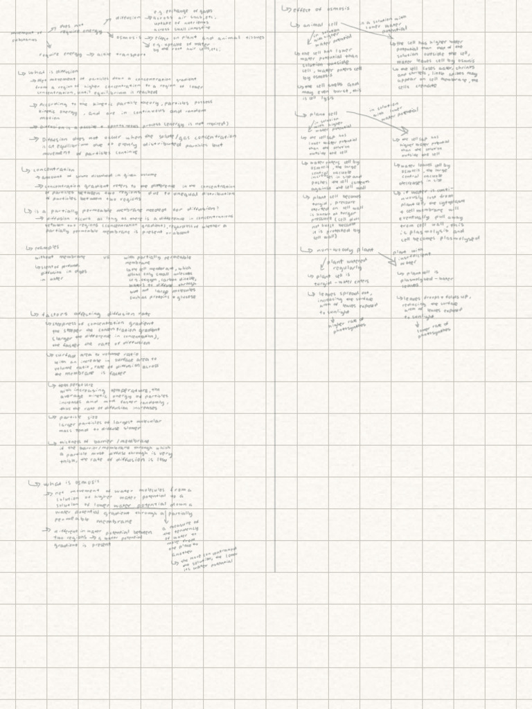 MS Science Notes | PDF