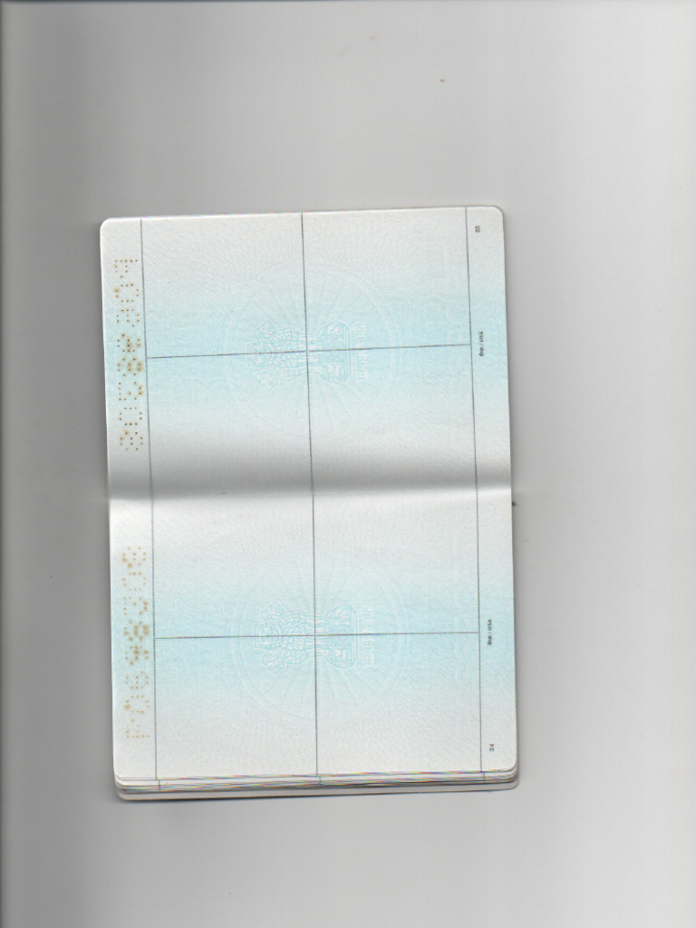 Passport looks | PDF