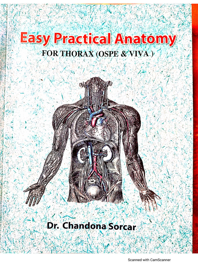 Easy Practical Anatomy (Thorax) 241228 020516 | PDF