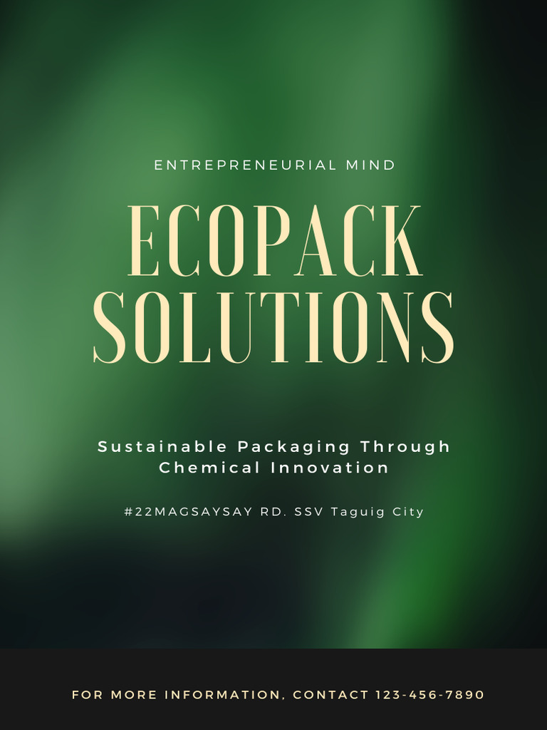 EcoPack Solution Strat Plan | PDF | Plastic | Economy And The Environment