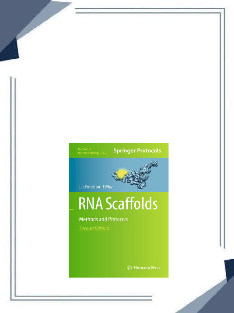 RNA Scaffolds Methods and Protocols 2nd Edition Luc Ponchon All ...