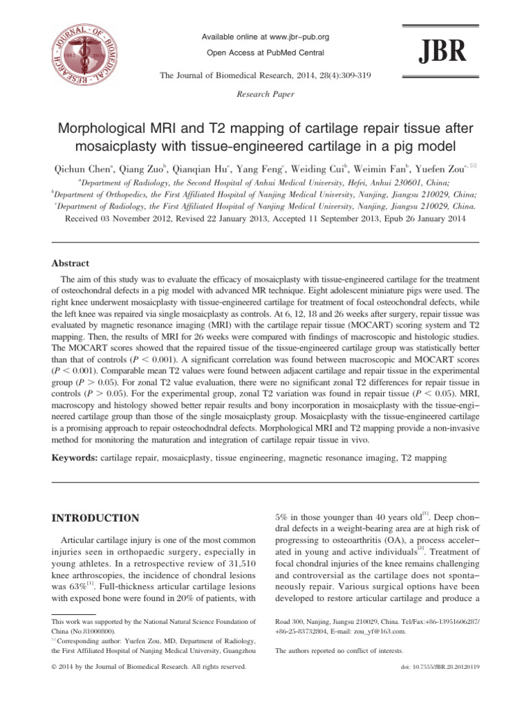 Morphological MRI and T2 Mapping of Cartilage Repair Tissue After ...