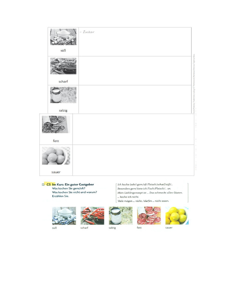 Lektion 3 Sprechübung | PDF