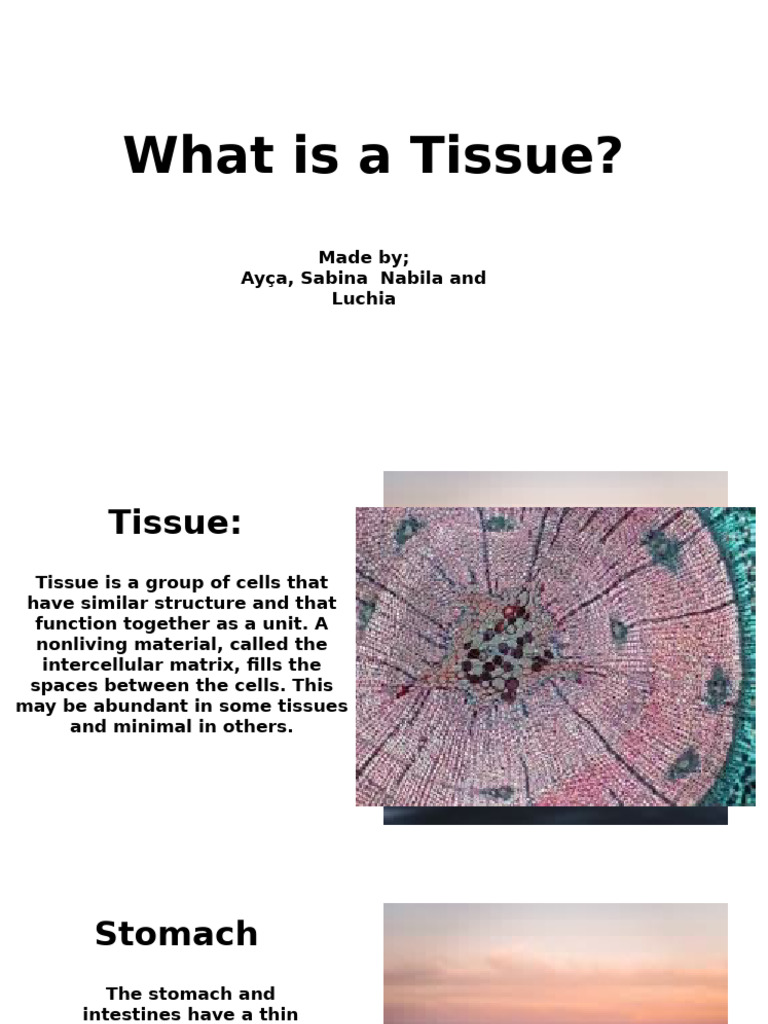 Tissues | PDF