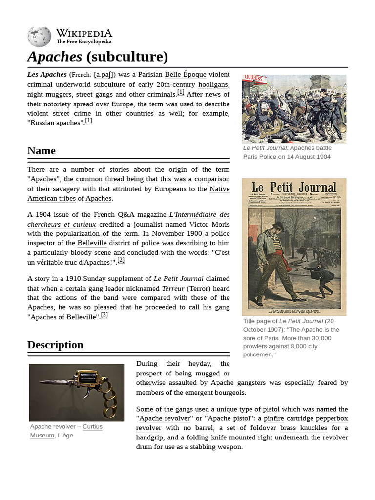Apaches (Subculture) | PDF | Criminal Subcultures | Gang
