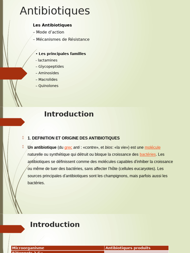 Comprendre les Antibiotiques et leur Action | PDF | Ribosome | Bactérie