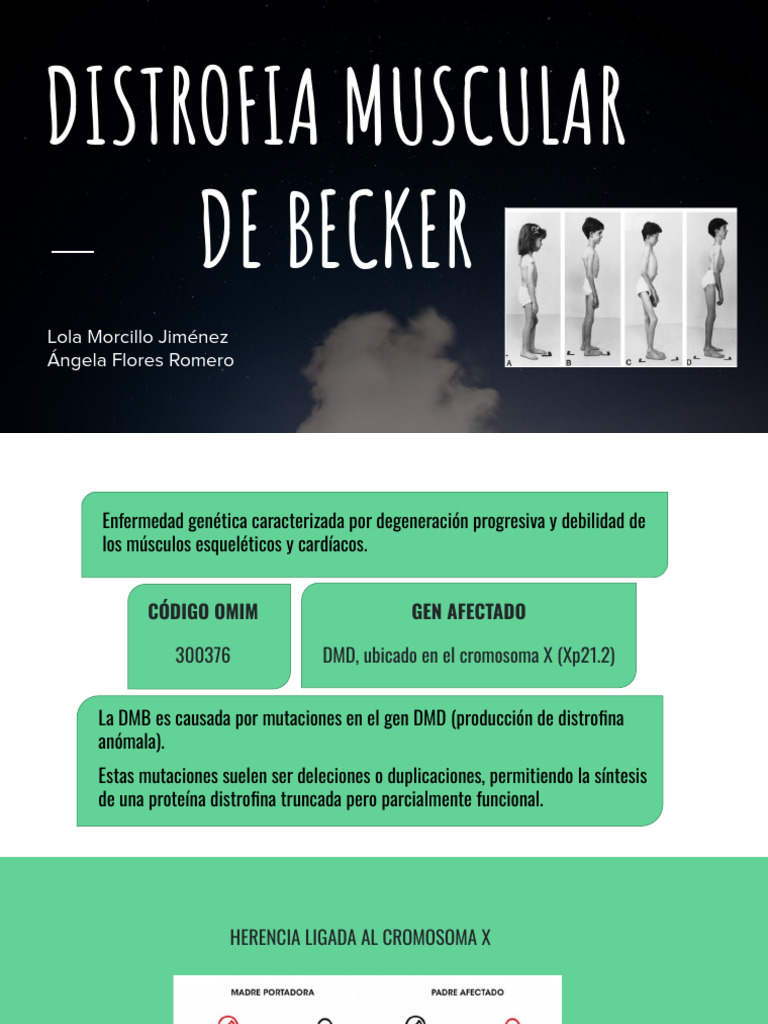 Distrofia Muscular de Becker | PDF