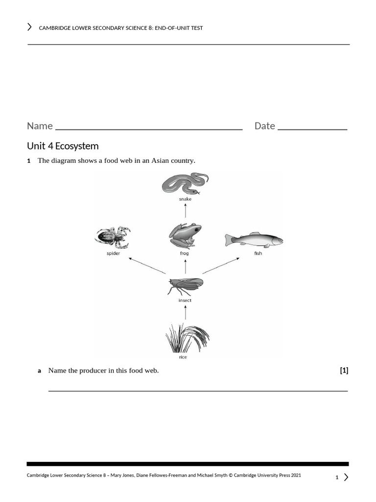 S8 - End-of-Unit 4 Test | PDF | Food Web | Foods