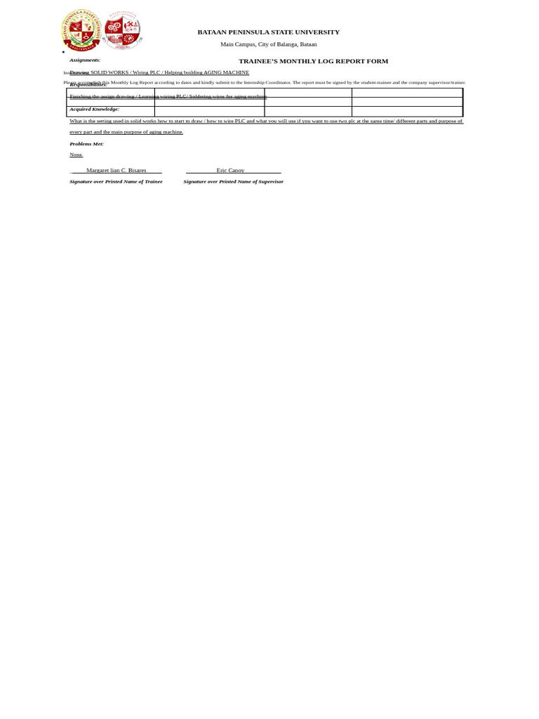 Trainee's Monthly Log Report Form | PDF