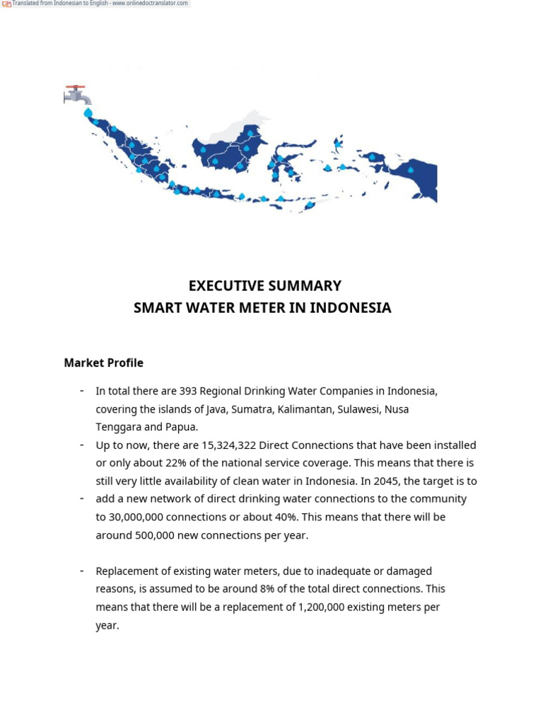 Executive Summary Smart Meter(English) | PDF