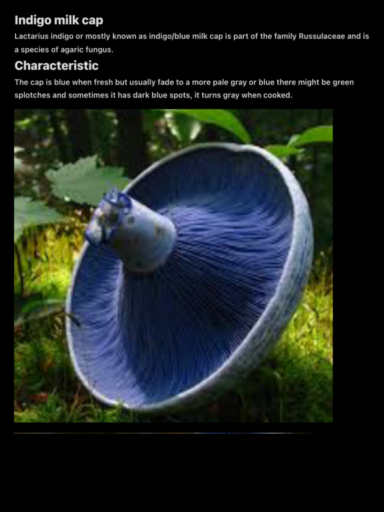 Indigo milk cap | PDF